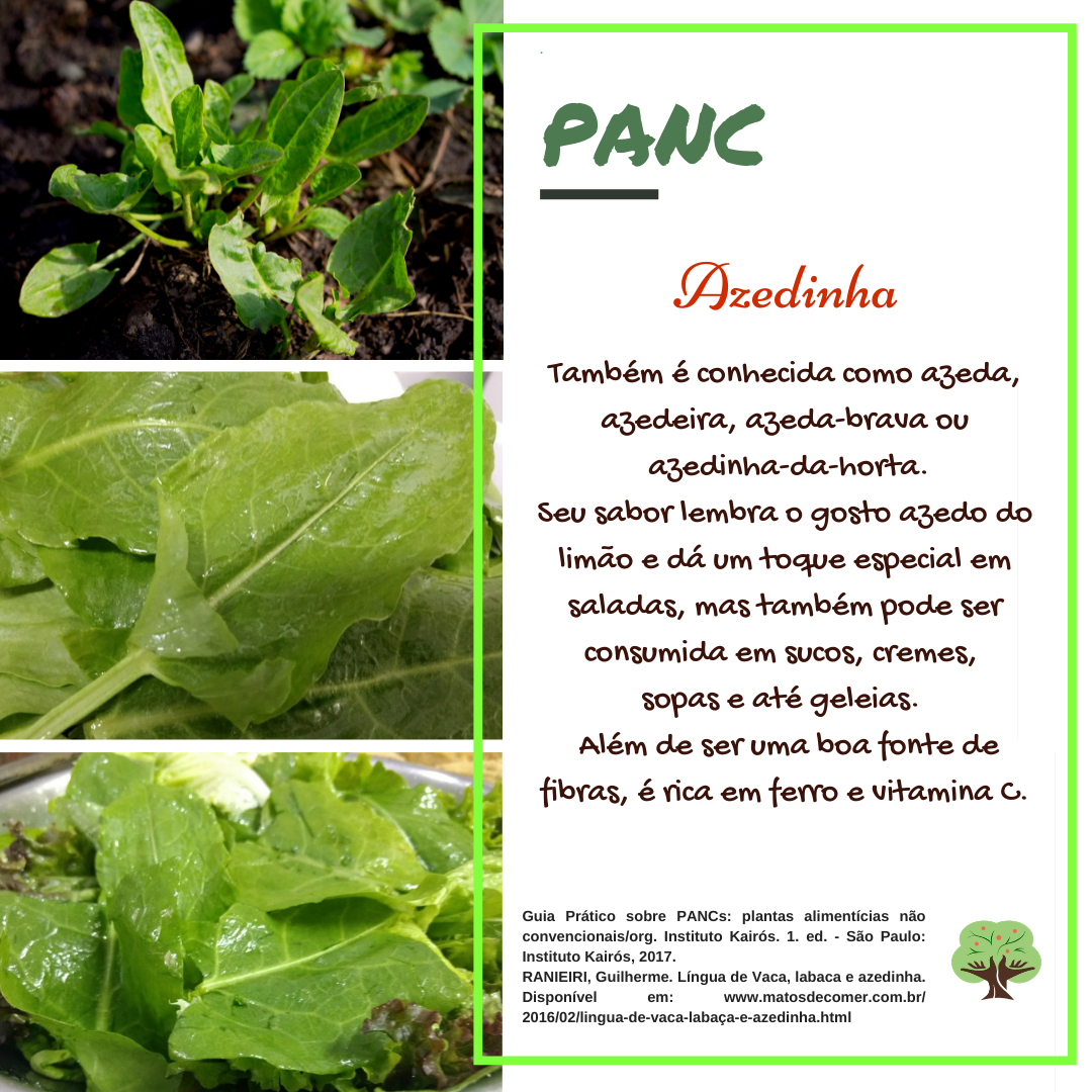 PANC: Azedinha - Sustentarea