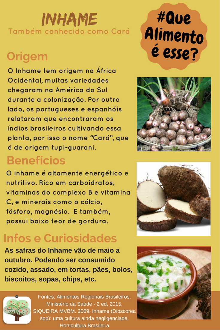 Que Alimento é Esse? Inhame - Sustentarea