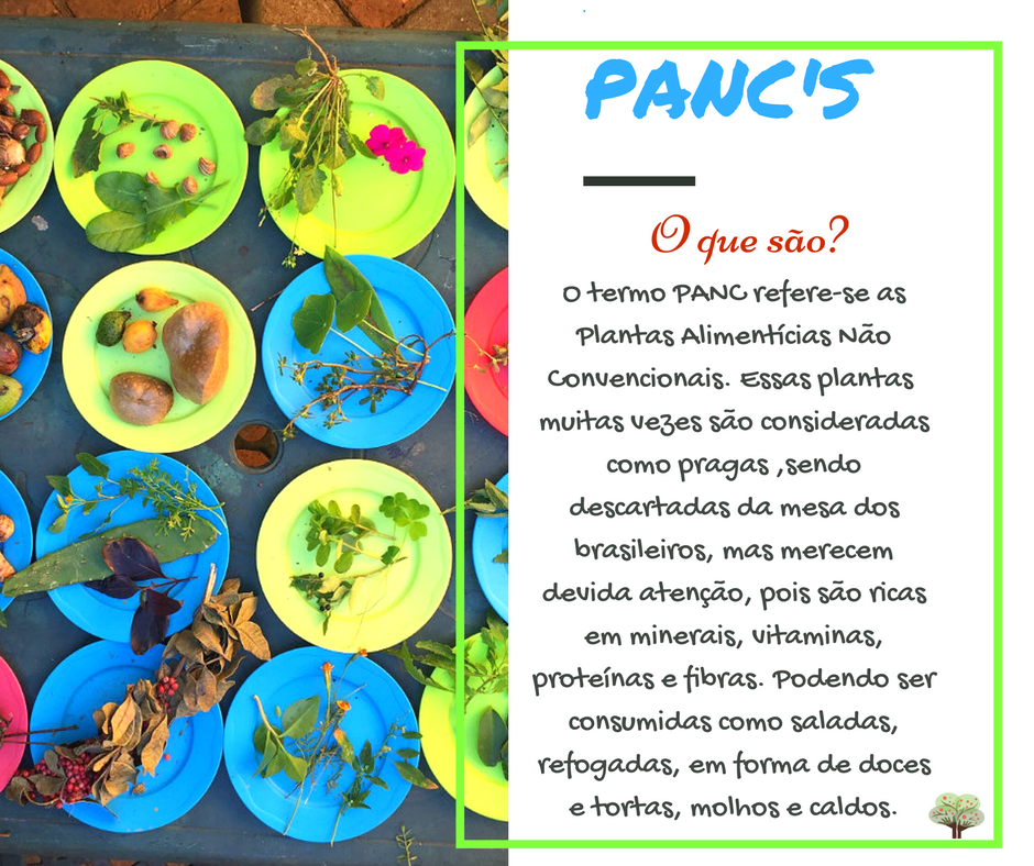 O que é PANC? - Sustentarea