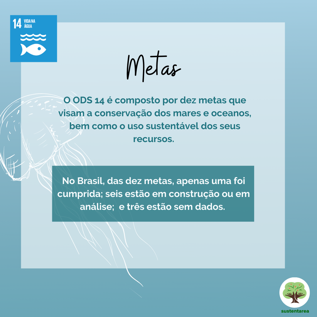 ODS 14 e a Vida na Água - Sustentarea