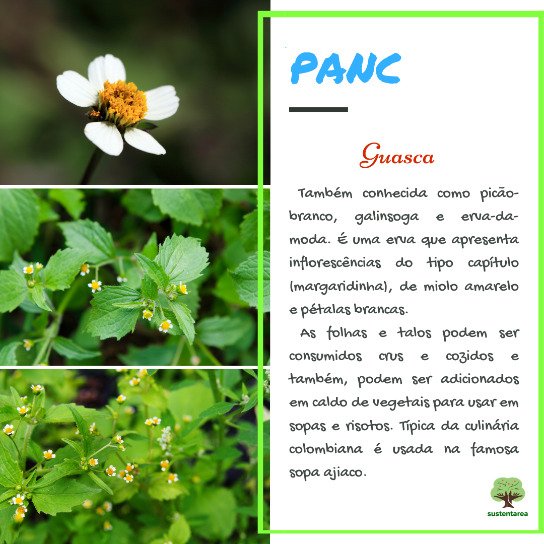 PANC: Guasca - Sustentarea