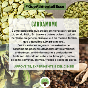 Que Alimento é Esse? Cardamomo - Sustentarea